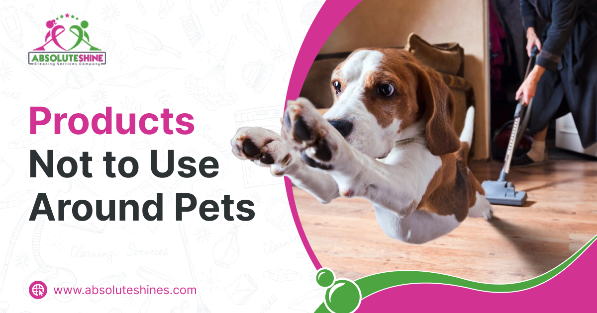 Products Not To Use Around Pets - Absolute Shine