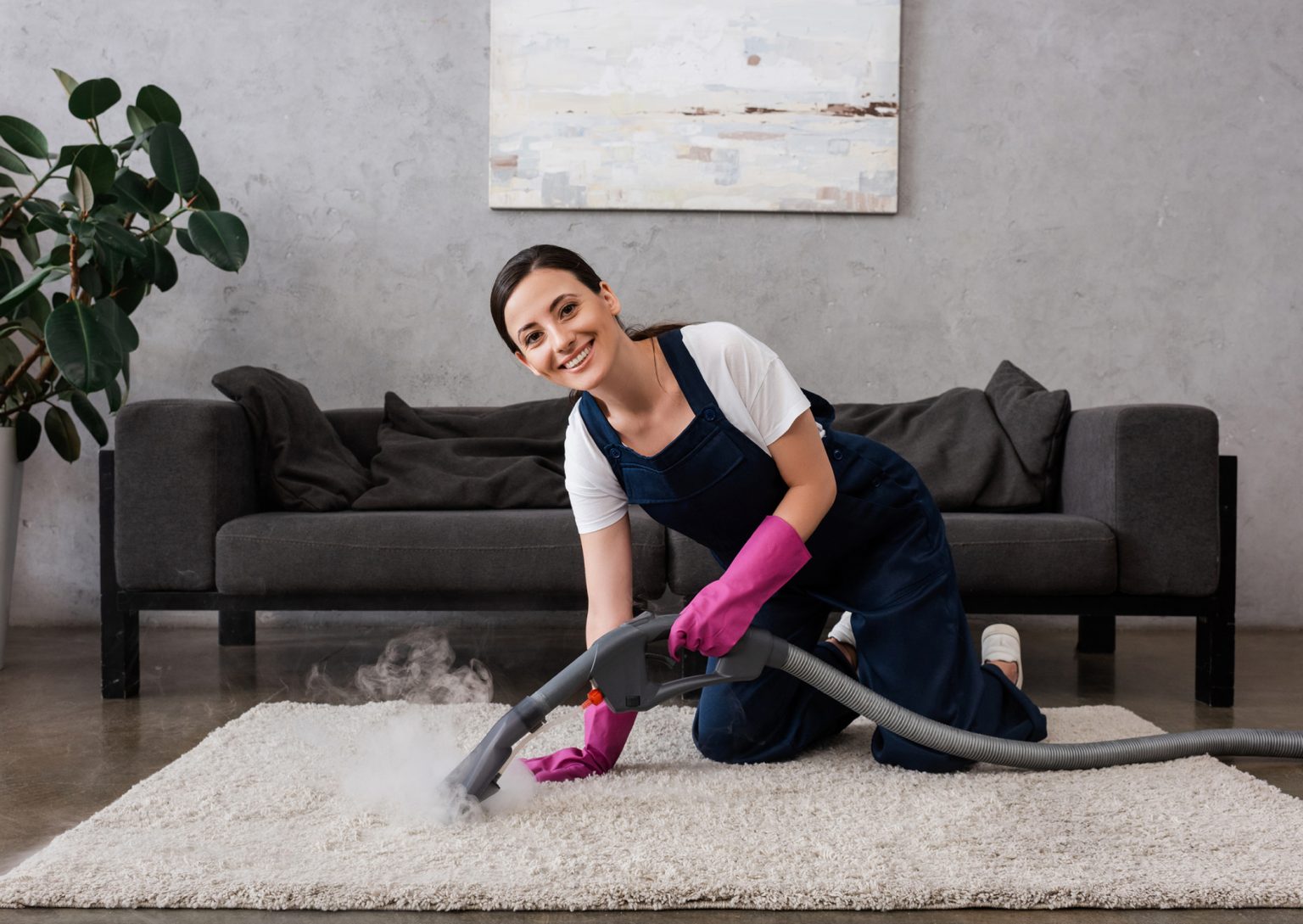 Carpet Cleaning in Northern Virginia | Absolute Shine Cleaning Services